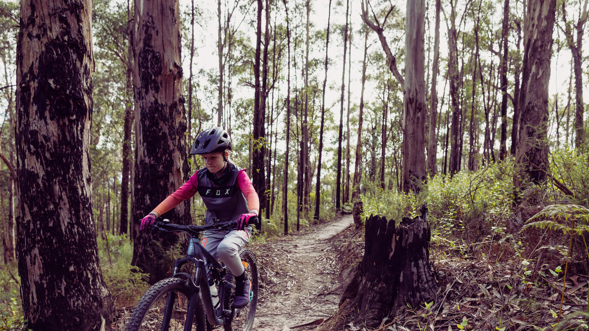 Milling Around Trail | Gentle Adventure Ride Warburton