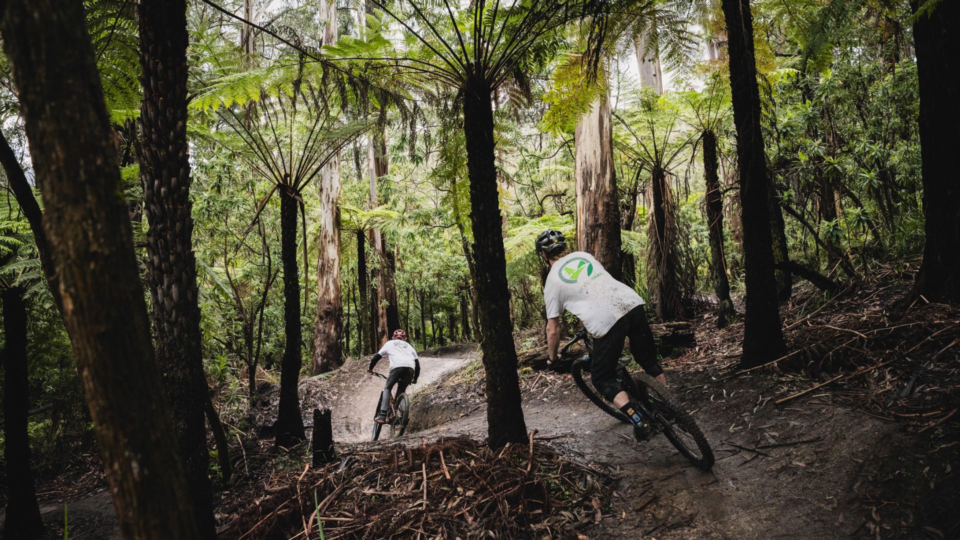 The Riddler Trail | Intermediate Flow Ride Warburton